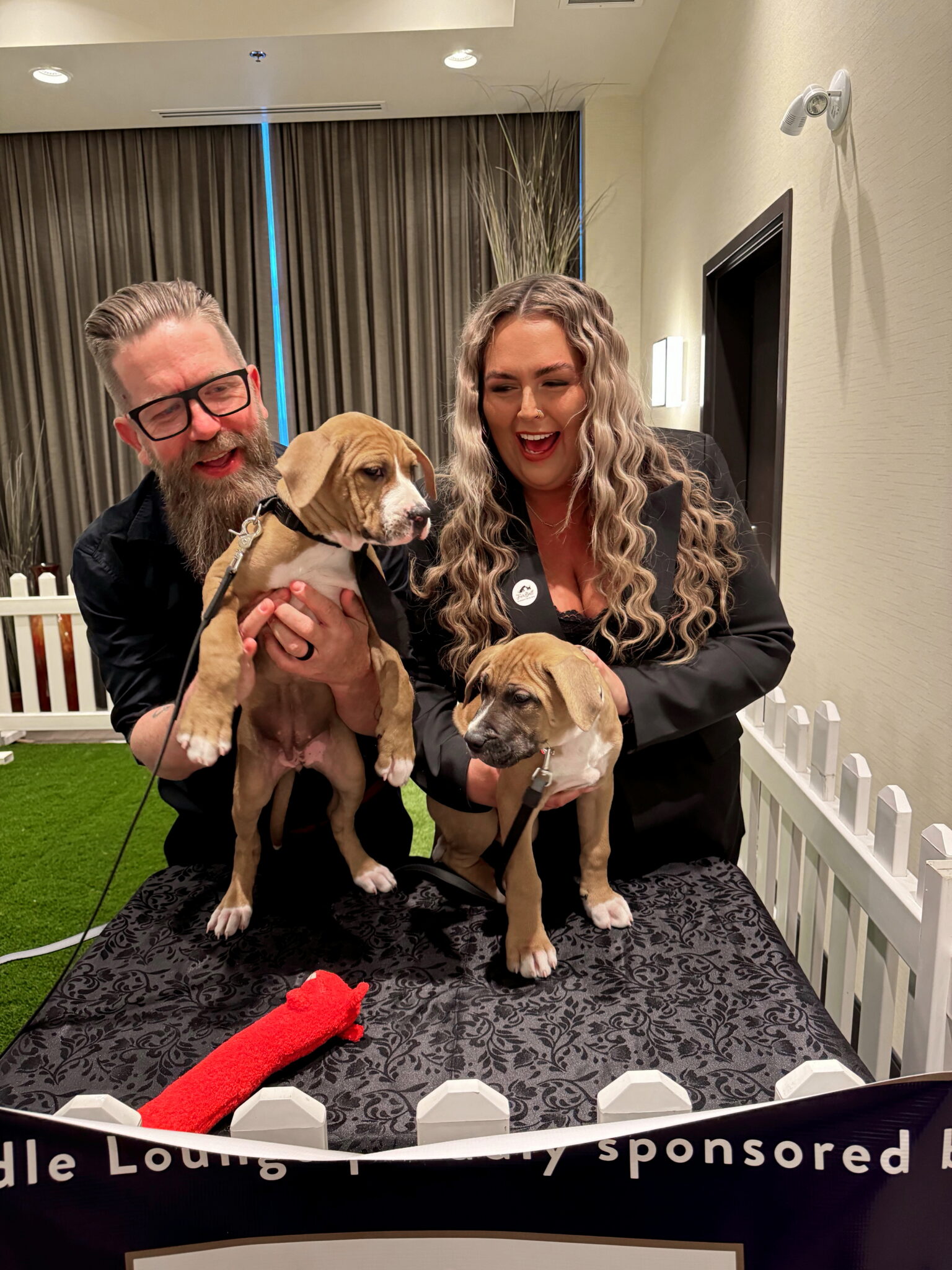 Kelowna Fur Ball 2024 Photos - Fur Ball BC SPCA