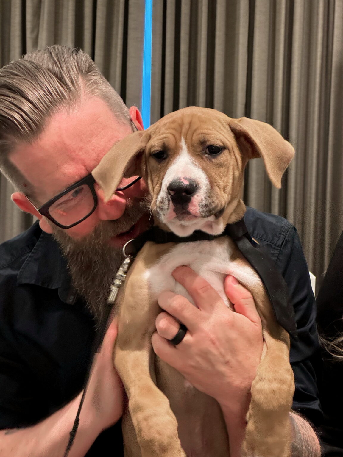 Kelowna Fur Ball 2024 Photos - Fur Ball BC SPCA