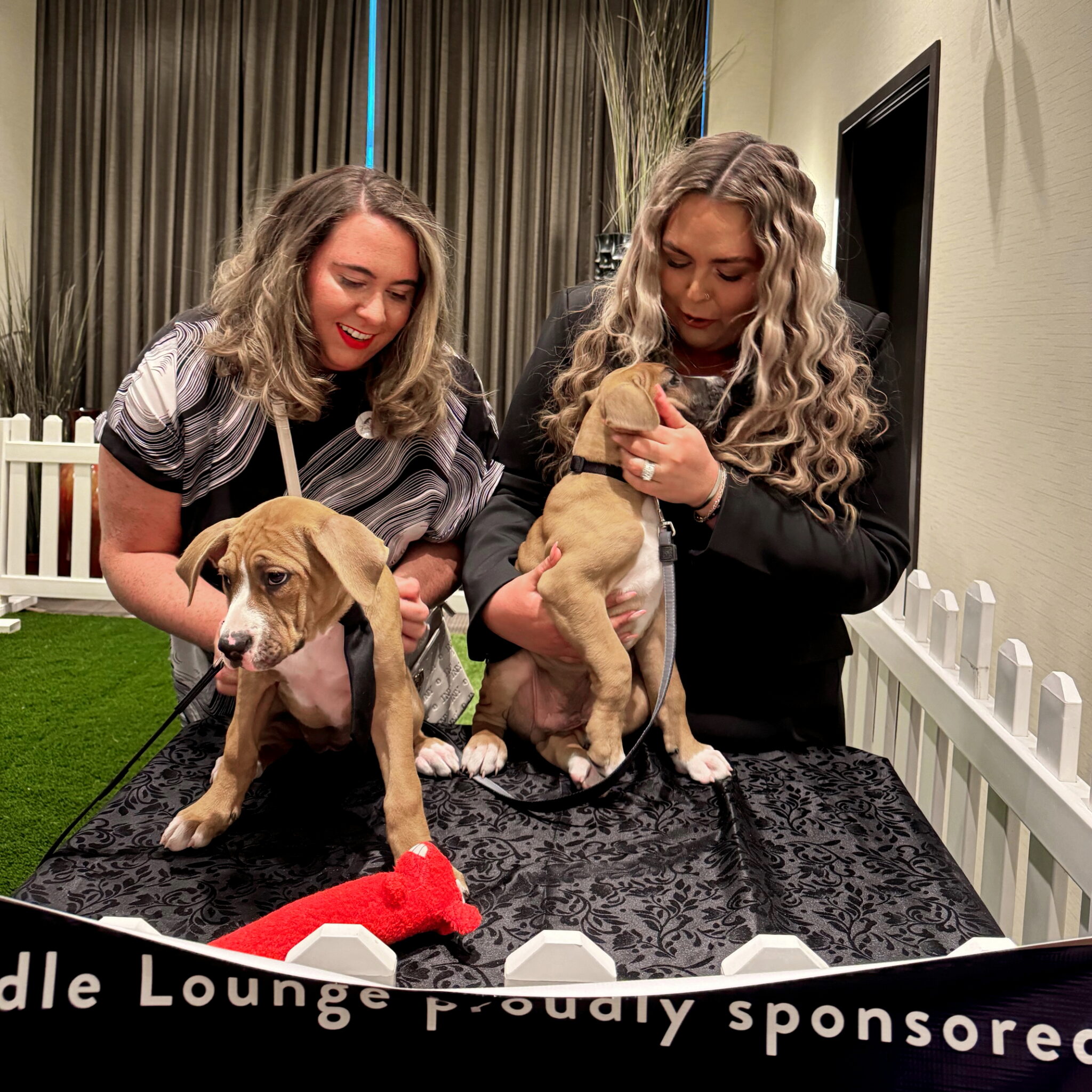 Kelowna Fur Ball 2024 Photos - Fur Ball BC SPCA