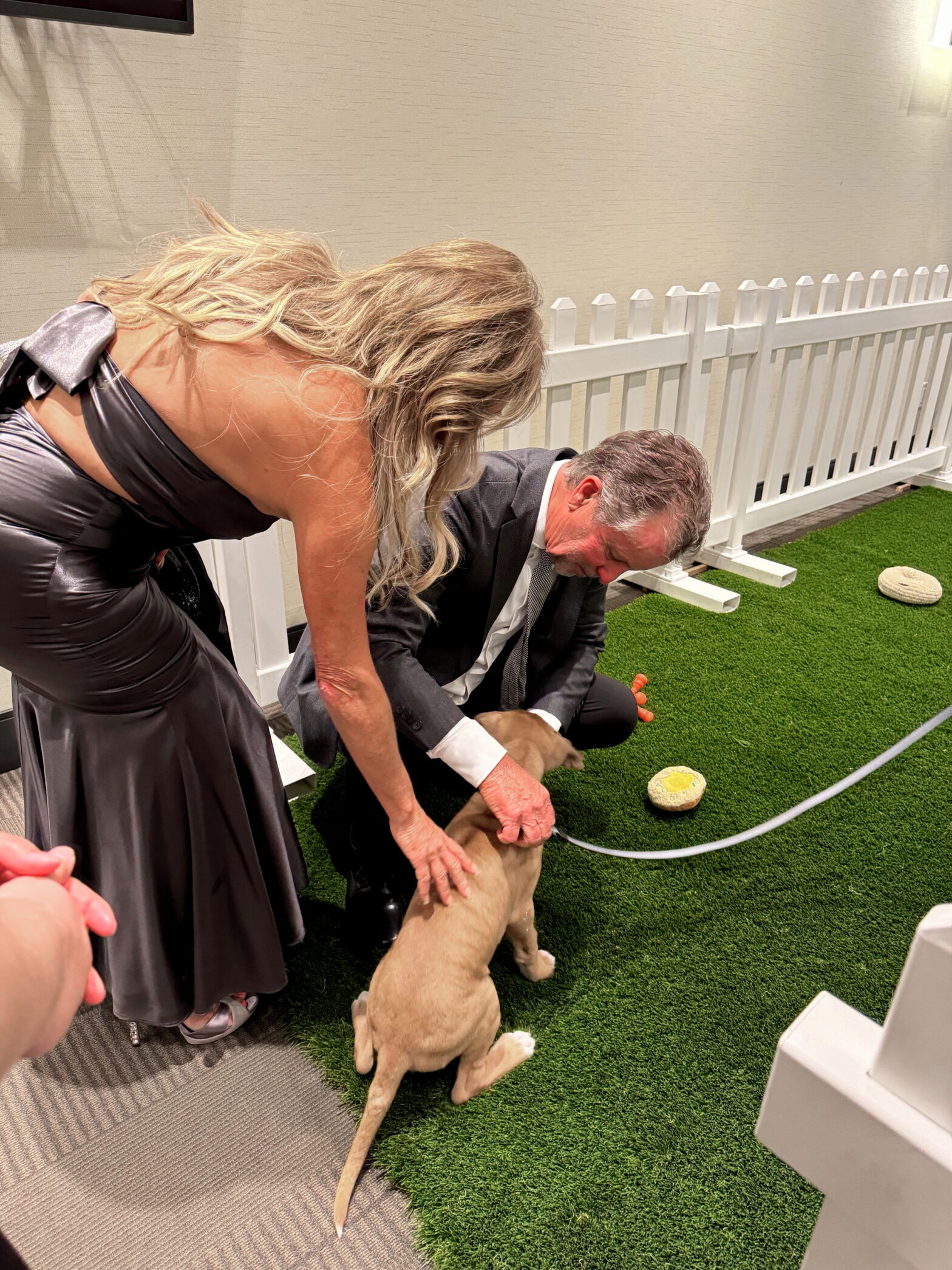 Kelowna Fur Ball 2024 Photos - Fur Ball BC SPCA
